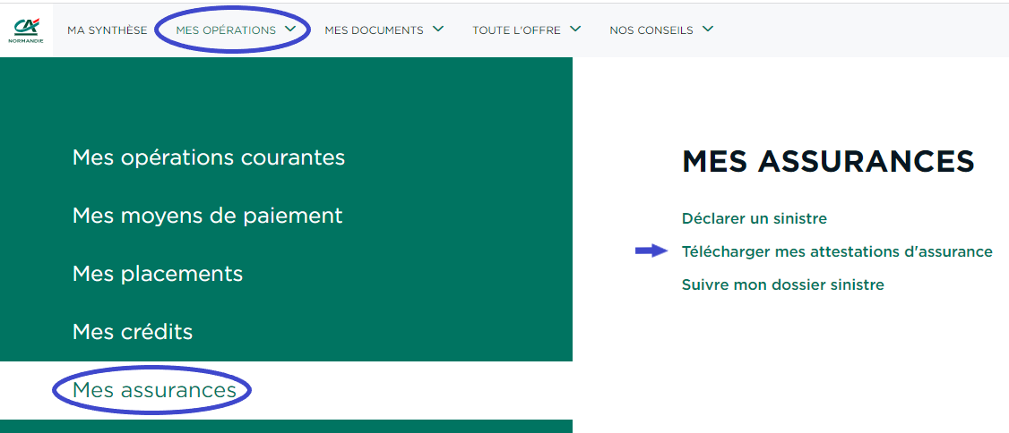 Attestation for school insurance- CA Britline